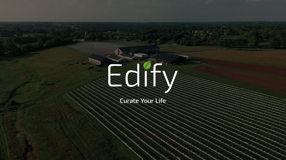 About Edify Video